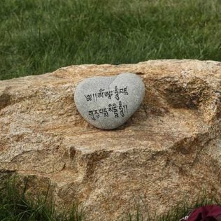 Shenpa: Part 1 - The Juice of Self-Centered Emotions - Mangala Shri Bhuti